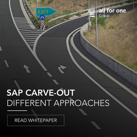 All For One Poland On Linkedin Different Approaches To Sap Carve Out Projects