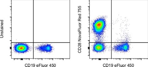 Cd28 Monoclonal Antibody Cd282 Novafluor™ Red 755 Ebioscience