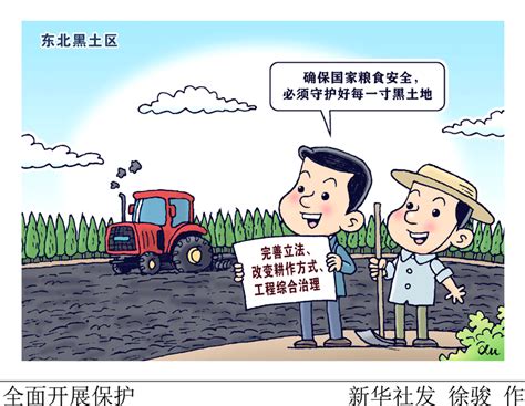 漫畫：全面開展保護漫畫新聞中國政府網