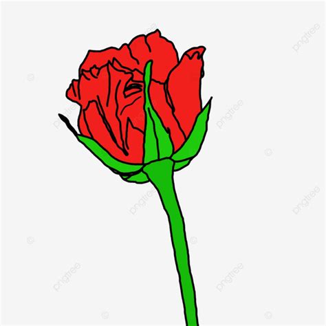 빨간 장미 선화 빨간색 장미 라인 아트 Png 일러스트 및 Psd 이미지 무료 다운로드 Pngtree