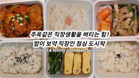 도시락 Vlog L 주옥같은 직장생활 울지 말고 밥먹고 힘을 내ㅣ직장인 점심 도시락 🍎 삼겹살김치말이찜 명란계란말이 삼겹살간장볶음 Youtube