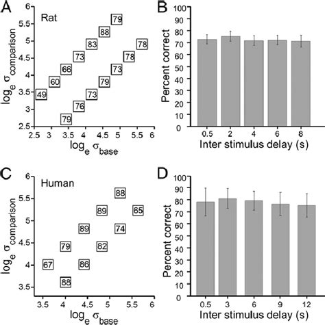 Working Memory Performance A For Rats Stimuli Had Duration Of 400
