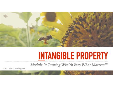 Module 09 Ts Of Intangible Property Virtual Currency Holt