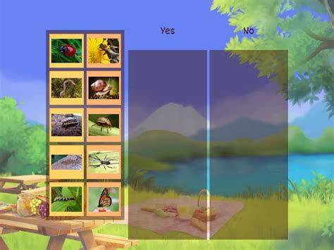 Minibeast Sorting Categorize