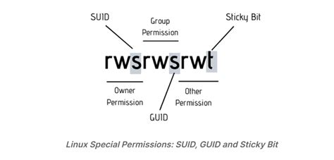 Special File Permissions Of Suid Guid And Sticky Bit 芝士盒