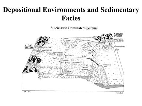 Ppt Depositional Environments And Sedimentary Facies Powerpoint