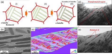 Bi Lamellar Microstructure In Ti 6al 4v Alloy A Schematic