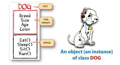 Class In Dart Flutter O₂ Education