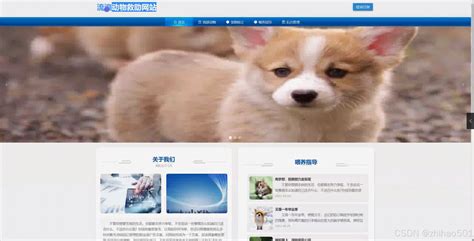 基于flask vue框架的爱萌回家[开题 论文 程序] 计算机毕设 csdn博客
