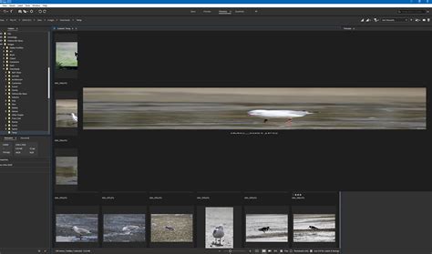 Display Issue When Switching Workspaces In Bridge Adobe Community 13361936