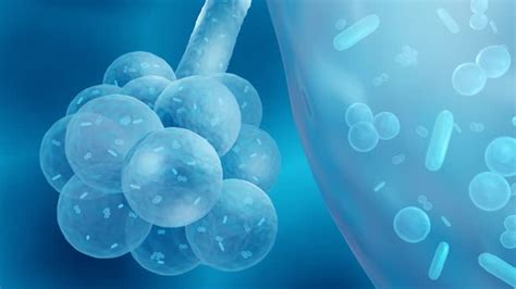 Pneumococcal Virus Videos And Hd Footage Getty Images