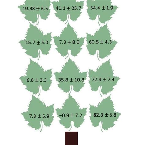 Different Complexity Levels For Water Use Efficiency Measurements From Download Scientific