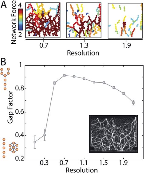 Sample Community Detection Results For A Single Granular Experiment At Download Scientific