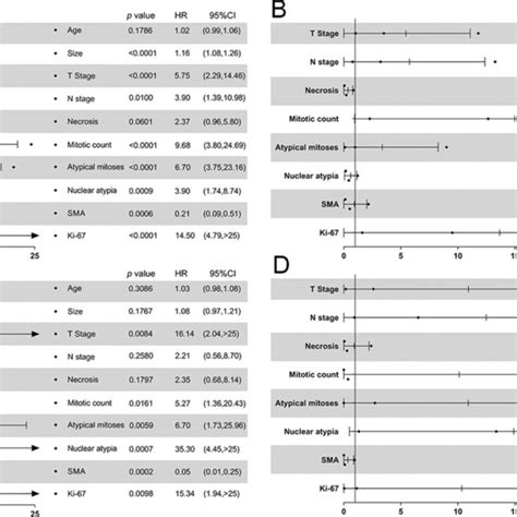 Univariate And Multivariate Cox Regression Analysis Univariate Cox