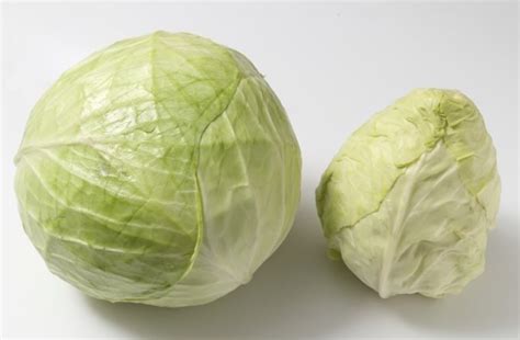 에디터가 쓰다 73 달콤하고 부드러운 크레이프 양배추 에디터가쓰다다 에디터가 쓰다 73 달콤하고 부드러운 크레이프 양배추 에디터가쓰다다