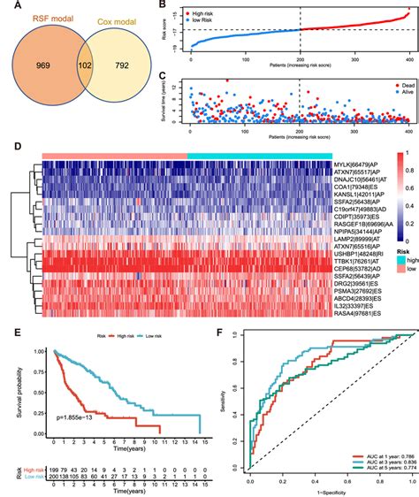 Prognostic Model Construction And Efficiency Assessment A