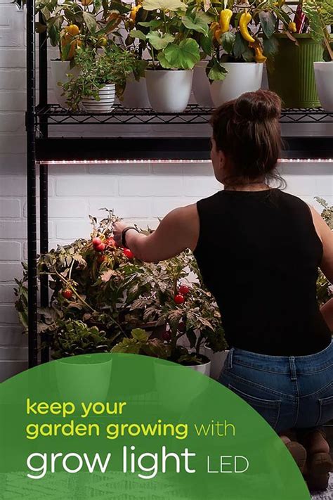 PRONORO Grow Light Can Keep Your Plants Thriving All Year Round Grow Lights Indoor Grow