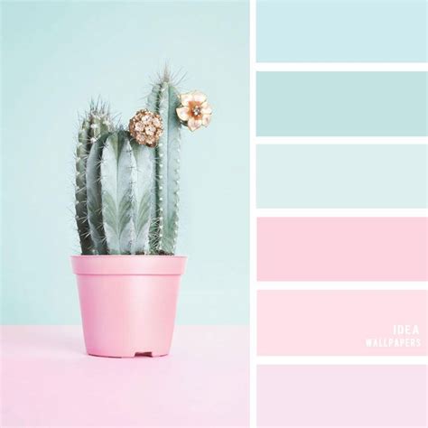 Light Pink Color Combinations