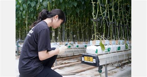 Data Driven Workforce Management System Helps Growers Improve Labor Efficiency