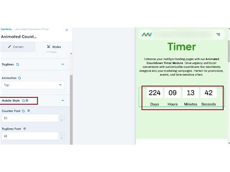 Animated Countdown Timer Module By Amwhiz Media Private Limited