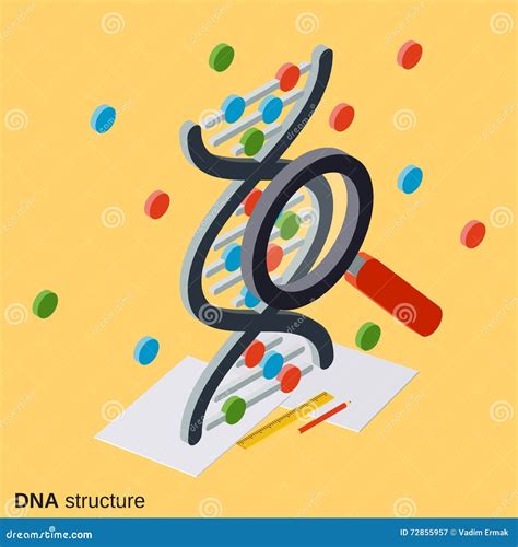 DNA Structure Genetics Vector Illustration Stock Vector Illustration