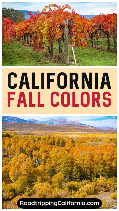 California Fall Colors 12 Amazing Places To Visit Roadtripping