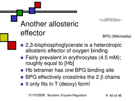 Ppt Enzyme Regulation Powerpoint Presentation Free Download Id3259633