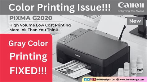 Canon G2020 Printer Color Printing Issue How To Fix Gray Color Issue