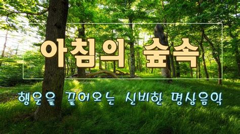 【아침의 숲속】행운을 끌어오는 신비한 명상음악 🍀 2시간 잔잔한 음악 긍정적인 에너지를 채워주는 피아노 음악 스트레스 해소음악 Youtube