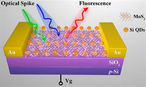 Optogenetics Inspired Fluorescent Synaptic Devices With Nonvolatility