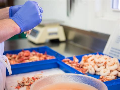 Cross Contamination Wikifarmer