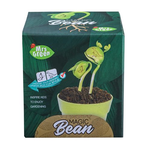 Magic Bean Toy Box Michigan