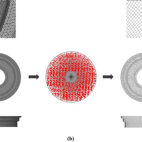 Procedure Of Generating A Fixed Grid Based Fe Model A Generating Download Scientific Diagram