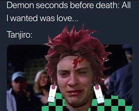 Demon Slayer Hilarious Tanjiro Memes That Will Have You Cry Laughing
