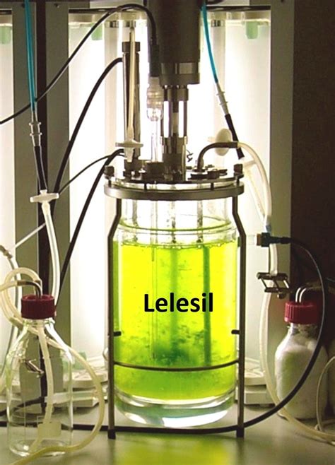 Glass Autoclavable Lab Scale Bioreactors Laboratory Fermenters प्रयोगशाला फेर्मेंटर Lelesil