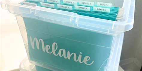 Memory Bins — Neat And Tidy With Stephanie Toronto Home Organizing Decluttering And Move Management