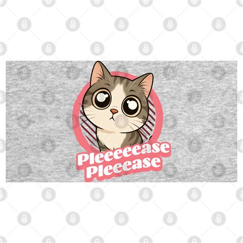Adorable Begging Kitty Begging Kitten T Shirt Teepublic