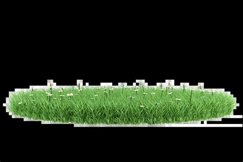 Grass 20 Copy 花瓣网