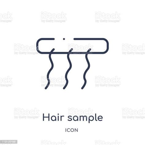 뷰티 아웃 라인 컬렉션에서 선형 머리 샘플 아이콘입니다 얇은 라인 헤어 샘플 벡터 흰색 배경에 고립입니다 헤어 샘플 유행 삽화 긴에 대한 스톡 벡터 아트 및 기타 이미지
