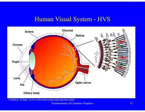 Fundamentals Of Computer Graphicspdf