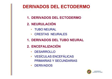 EmbriologÍatema 6derivados Delectodermosul3bonue4nΣuniversidadalfonso