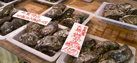 岩牡蠣と真牡蠣の違いって何？料理初心者でも選びやすい比較ポイント｜食ノート