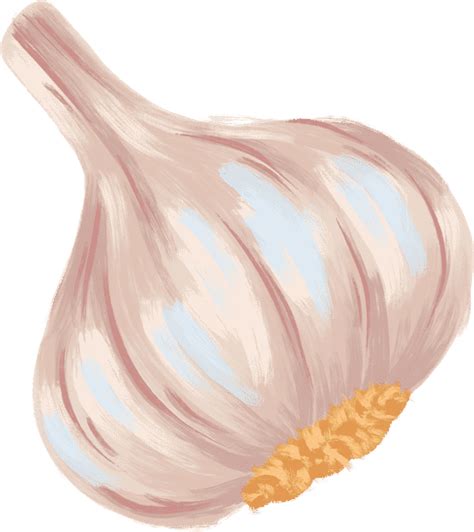 Sketchify Italy Canva