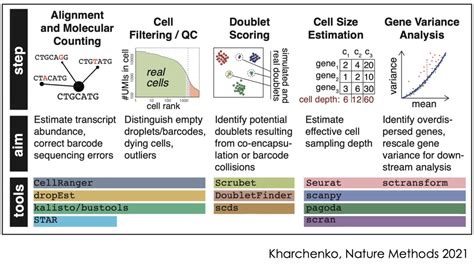 Single Cell Analysis Overview By Prof Peter Kharchenko
