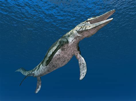 Adorable Newborn Sea Monster From The Dinosaur Age Discovered In Kansas