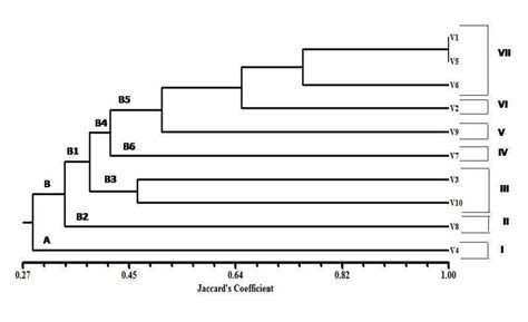 Dendrogram Showing The Genetic Relationship Among 10 Plant Species Download Scientific Diagram