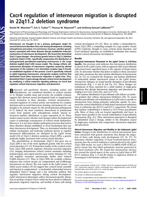 Pdf Cxcr4 Regulation Of Interneuron Migration Is Disrupted In 22q11 2 Deletion Syndrome