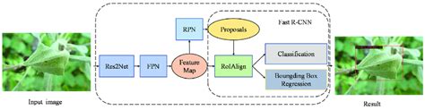 The Flowchart Of The Detection Model Using Faster R CNN The Result Download Scientific