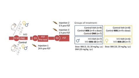 Sex Differences In The Antidepressant Like Response And Molecular