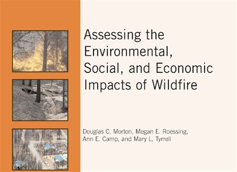What Are The Environmental And Socio Economic Impacts Of Wildfire Emissions Met One Instruments